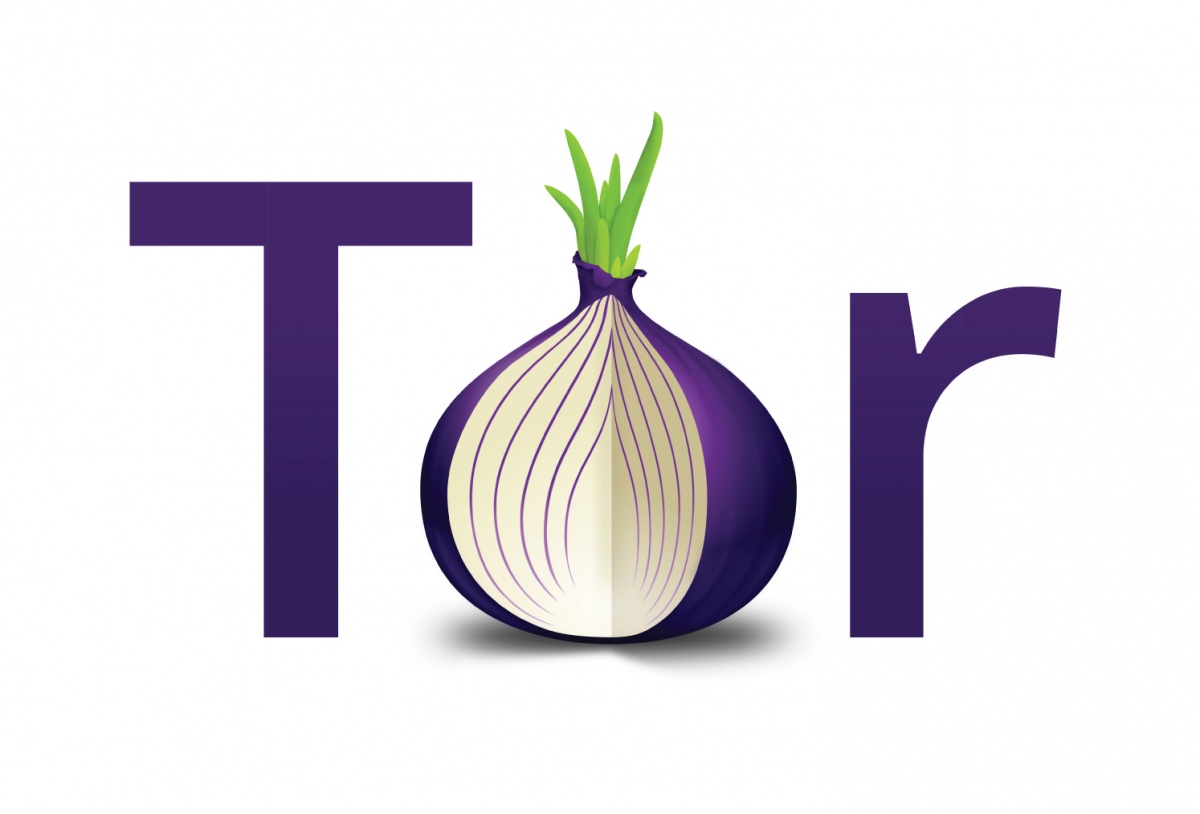 Exploring Tor Alternatives: Protecting Your Online Privacy