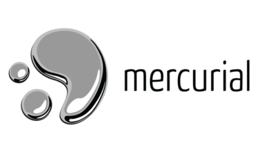 8 Perfect Git Alternatives For Mastering Version Control