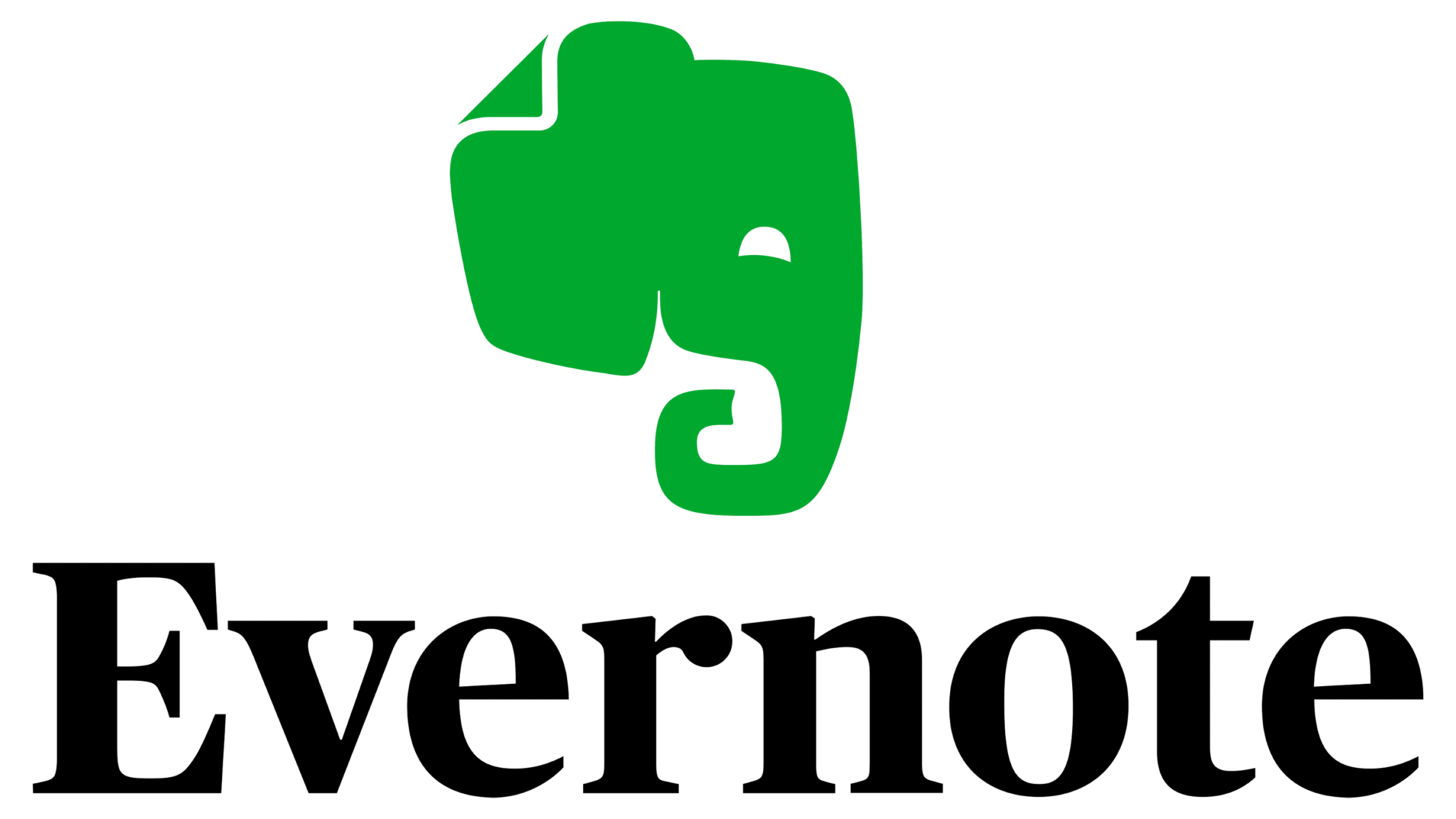 Discovering 10 Pocket Alternative: Choice for Ideal Curation