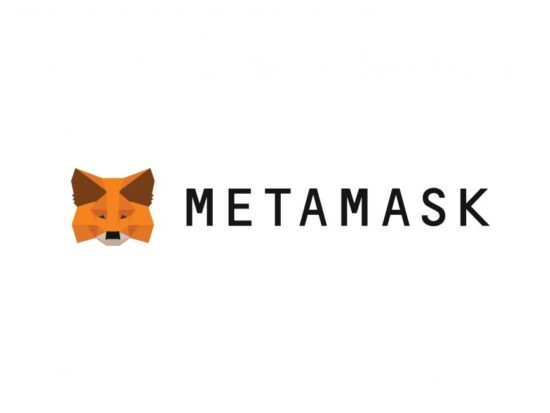 Discover MetaMask Alternatives: Choosing Ideal Crypto Wallet